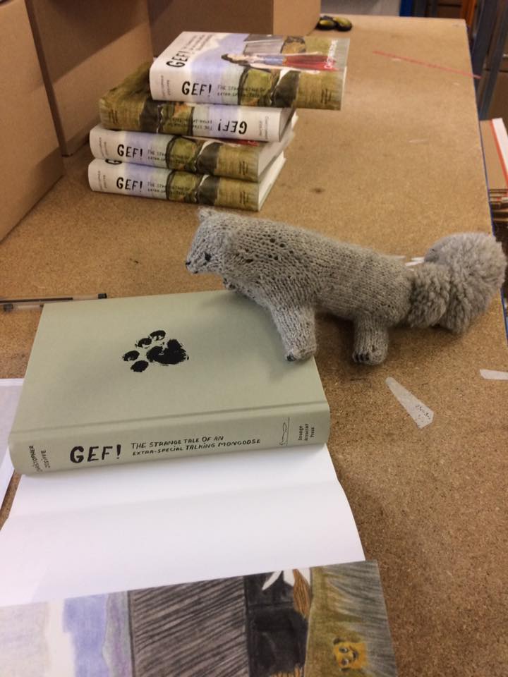 Gef book with Gef 1 - Gef!